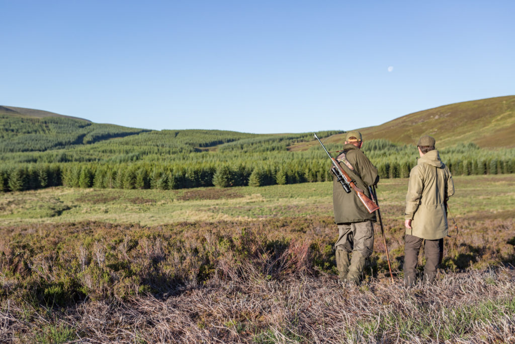 Red stag stalking in Sutherland with Rigby's Highland Stalker, by Liz ...